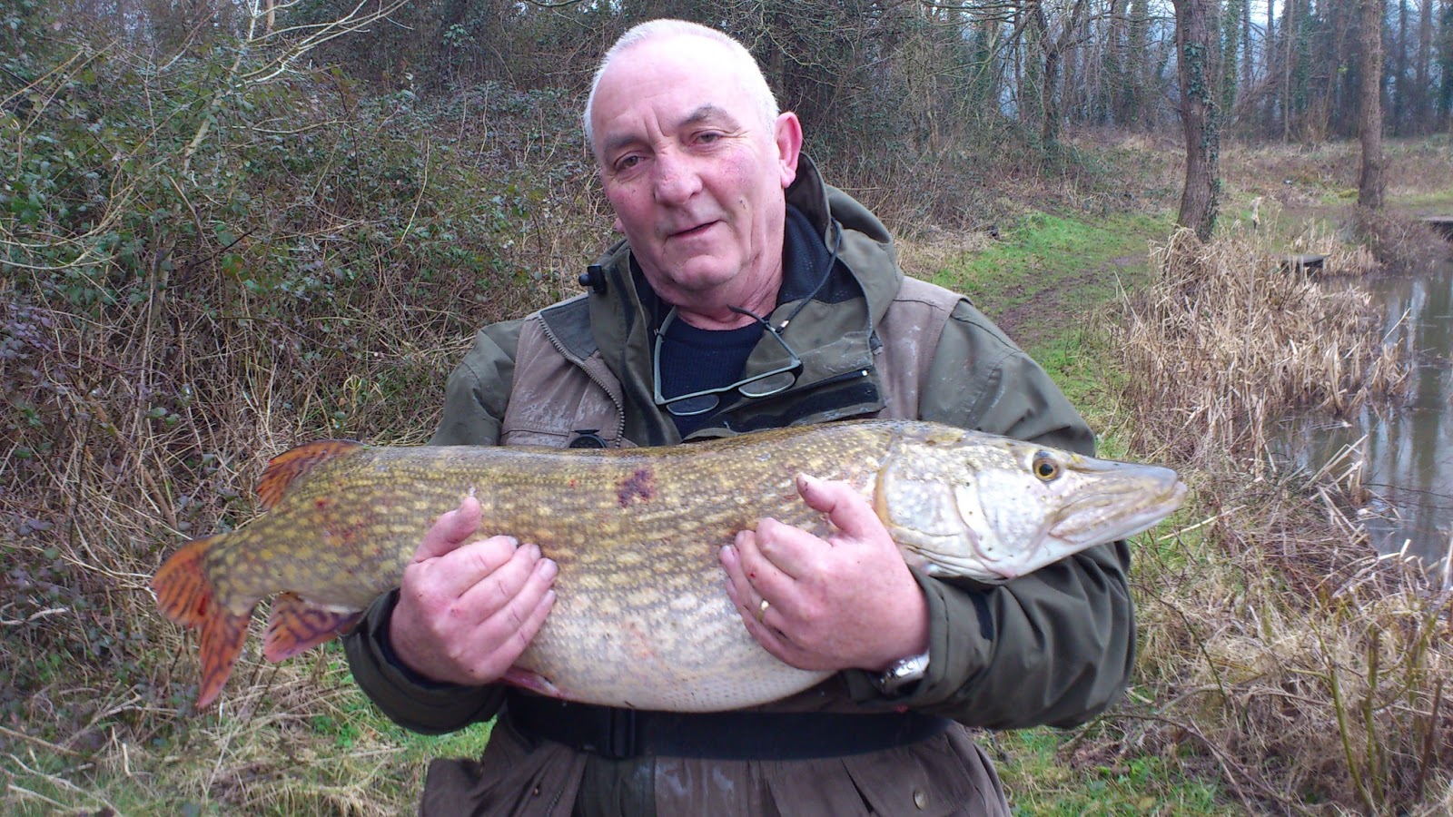 March Fish of the Month Entry - Pond Pike!