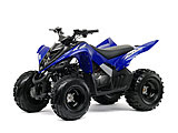 Raptor 90 YFM90 2009 YAMAHA pictures, specs