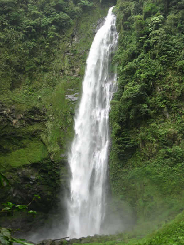 RESERVA FORESTAL RIO BLANCO