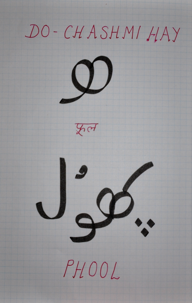 100 Days of Urdu