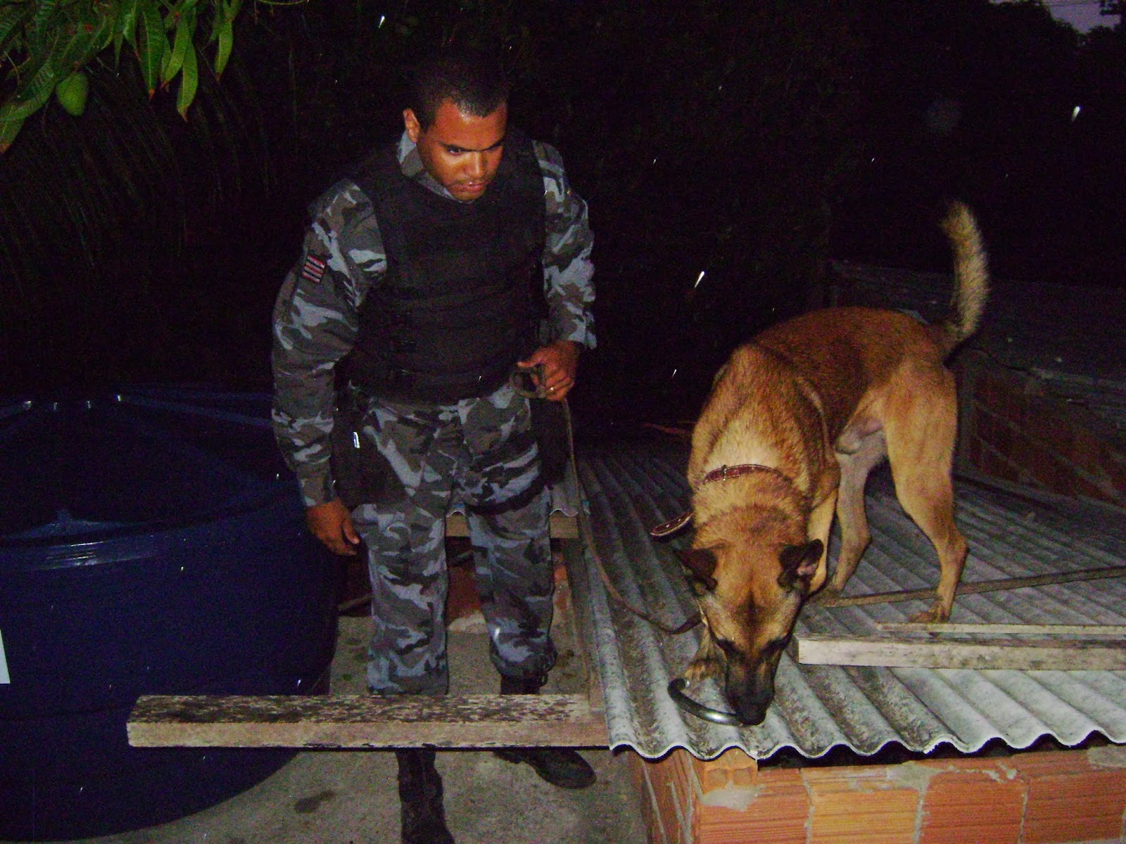 Canil BP Choque PMMA