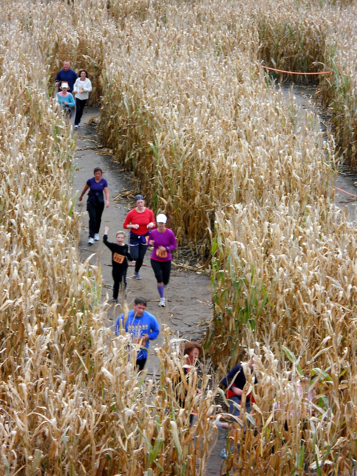 Juice Boxes and Crayolas: Corn Maze 5K Race Recap