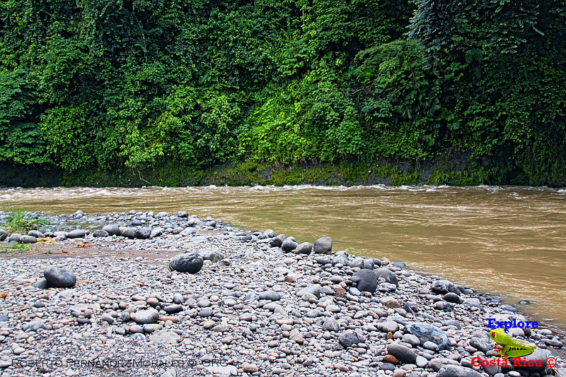 Palenque Margarita -San Rafael de Guatuso, Alajuela- | Explore Costa Rica