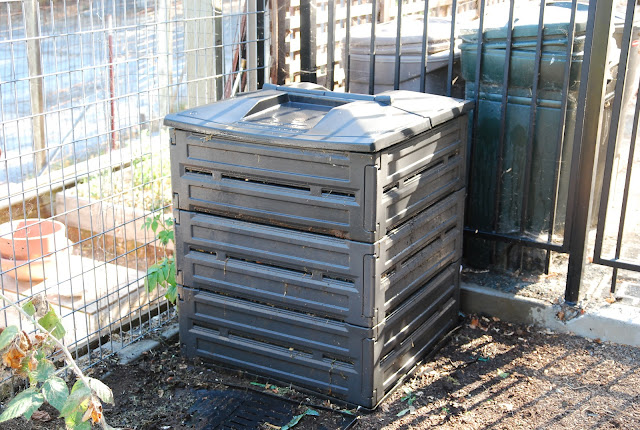 My Recession Kitchen...and garden: Compost