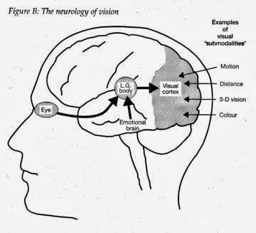 INVESTIGACIÓN SOBRE: ESQUIZOFRENIA Y CEGUERA AL MOVIMIENTO: EXPLICACIÓN ...