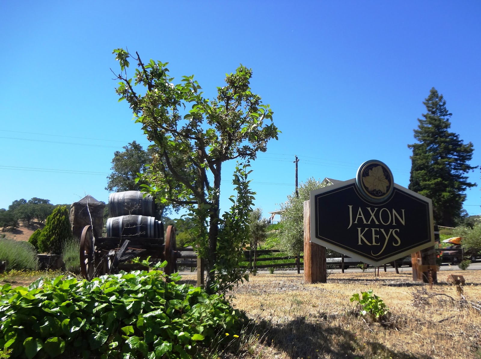 Life after Travelin' in the Big EZ: High on the Northern California Coast