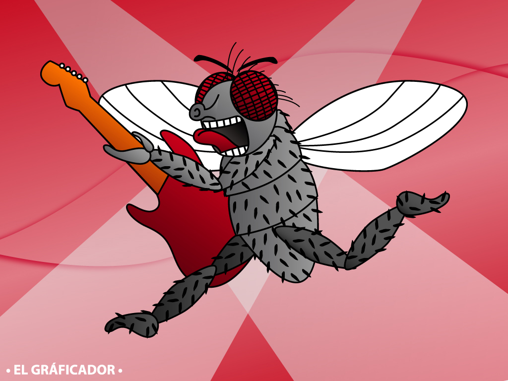 LA MOSCA EN LA PARED (Y EN LA RED) Y YO