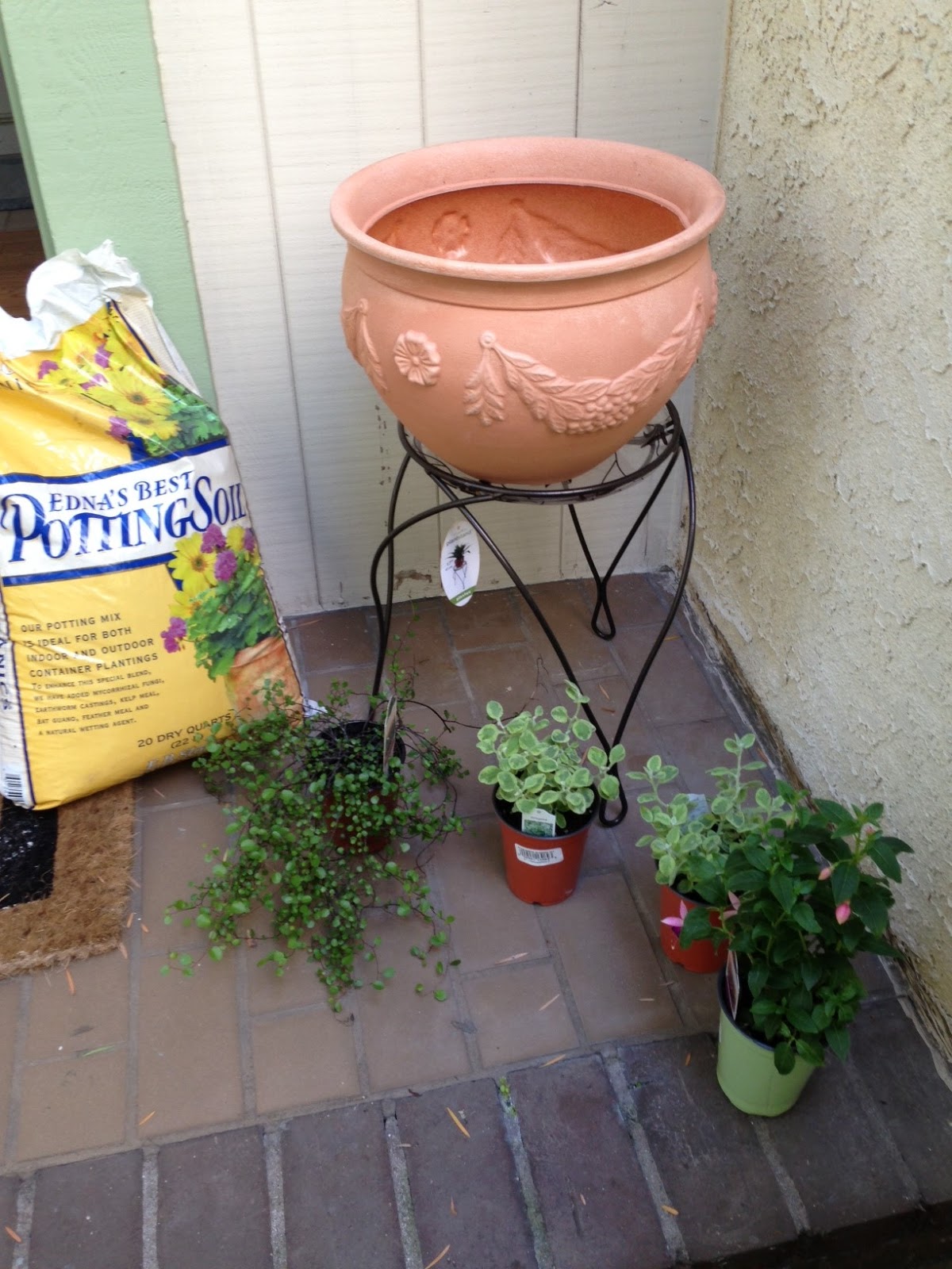 O Garden, My Garden!: The Pretty Pot: "Thriller Filler Spiller"