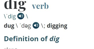 SCOOBY DOO: BEDLAM IN THE BIG TOP: SCOOBY DOO: BEDLAM IN THE BIG TOP ...