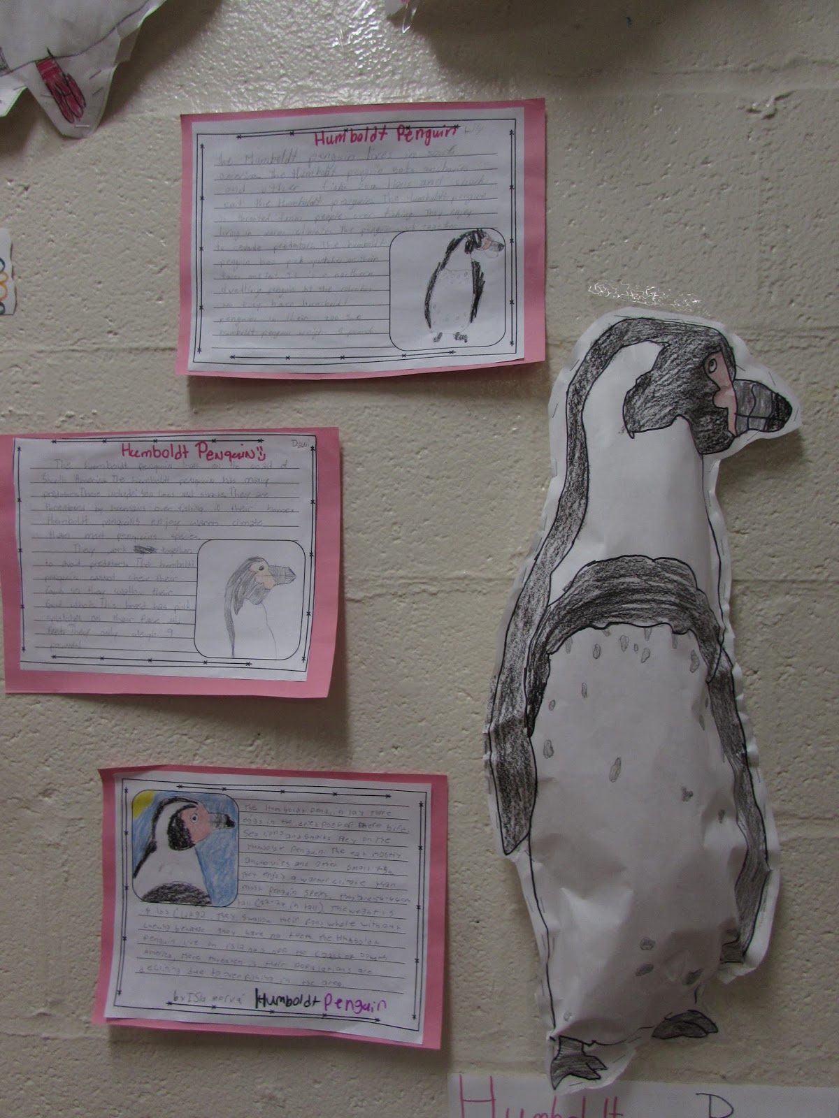 Growing a STEM Classroom: Penguins - STEM Challenge Integrated with Writing