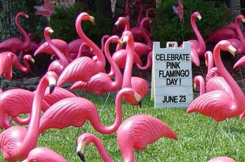 Thinking Pink: Happy Pink Flamingo Day!