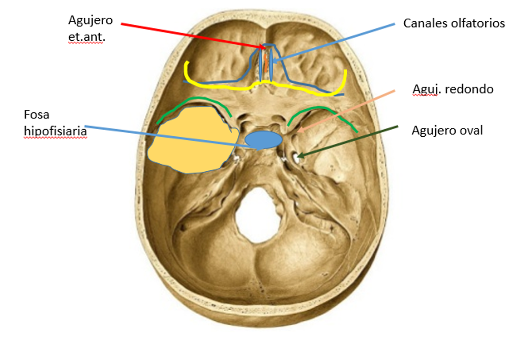 Medicina, un espacio para aprender