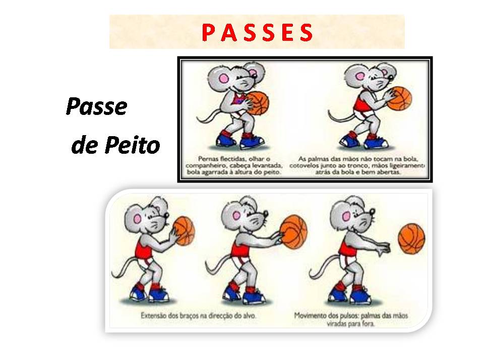 PROFESSOR STONE - Educação Física: Basquete