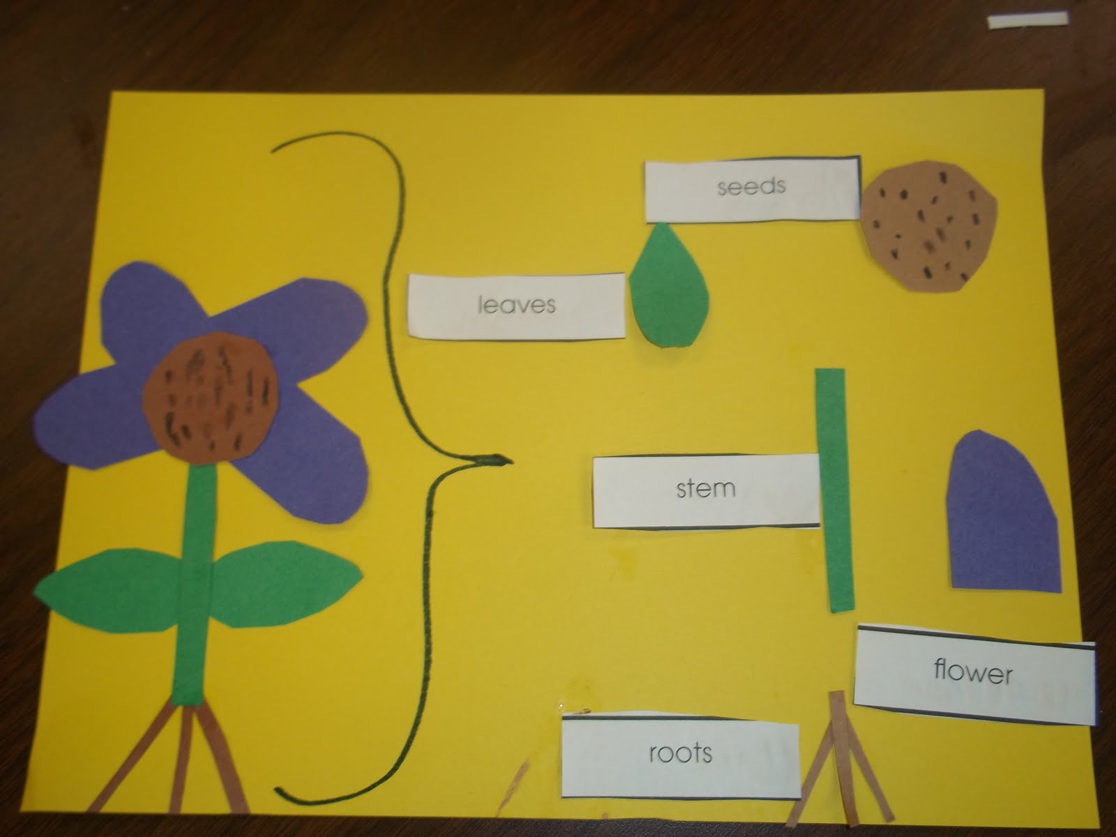 Mrs. Wood's Kindergarten Class: Flower Brace Map