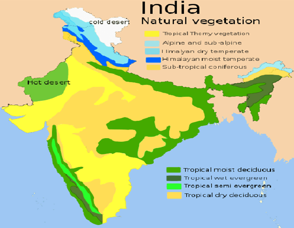 (Unit 7-Topic 1) Natural Vegetation & Rainfall Distribution of India