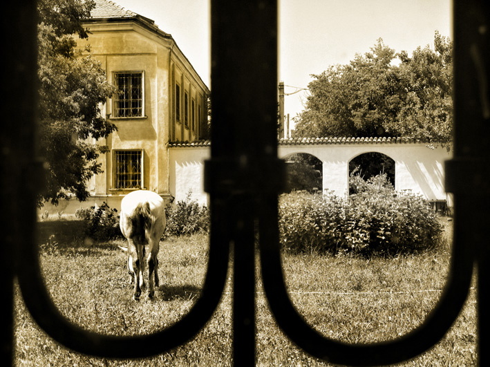 Photographis: The architectonic ensemble Udriste - Nasturel