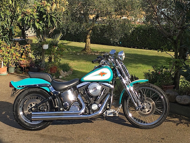 GalluzHead...... Be a Man ride a Pan : H-D Softail Springer FXSTS evo ...