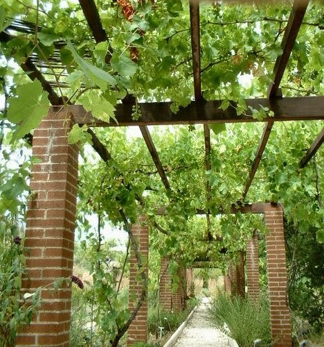 Gobierno de la parra