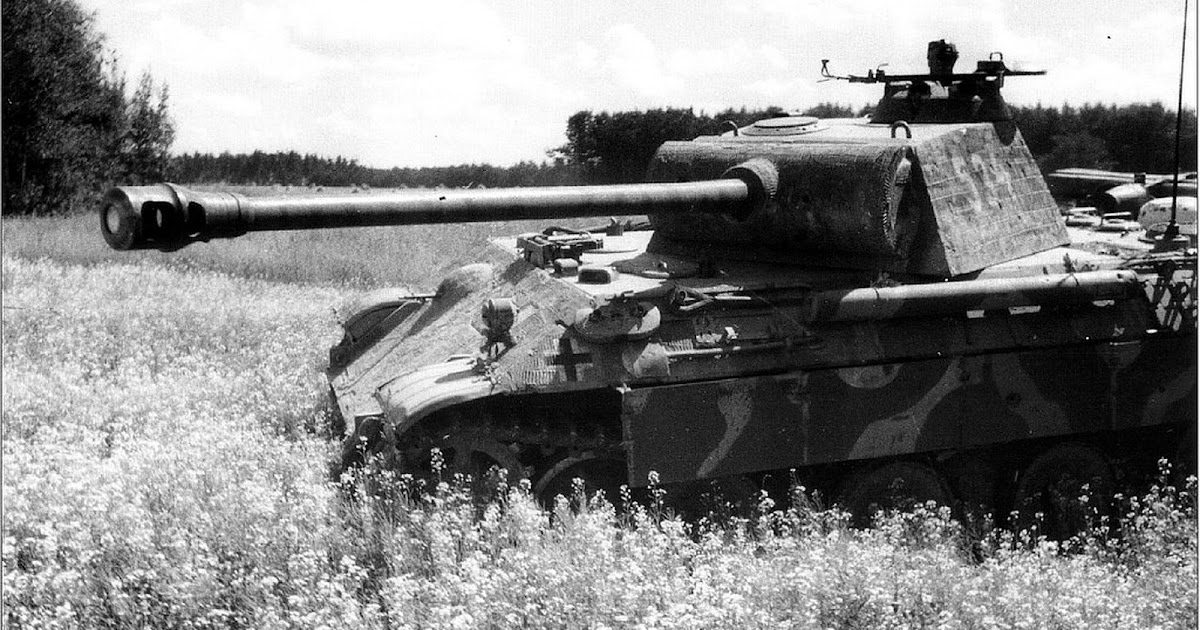 Panzermänner: Panther '534' of Division Wiking in Poland