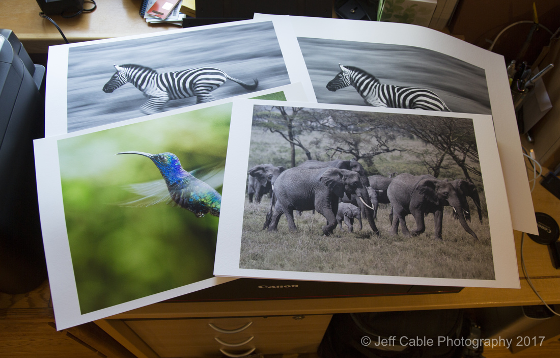 Printing my images on the Canon Pro-1000 printer using Hahnemühle paper ...