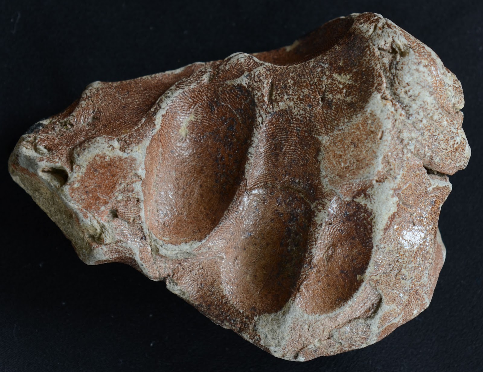 Mudlarking: Thames Mudlarking: Find of the Day and the Rest