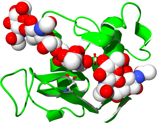 One Culture—Biochemistry for Citizens: Unit 6. Enzymes and Metabolism