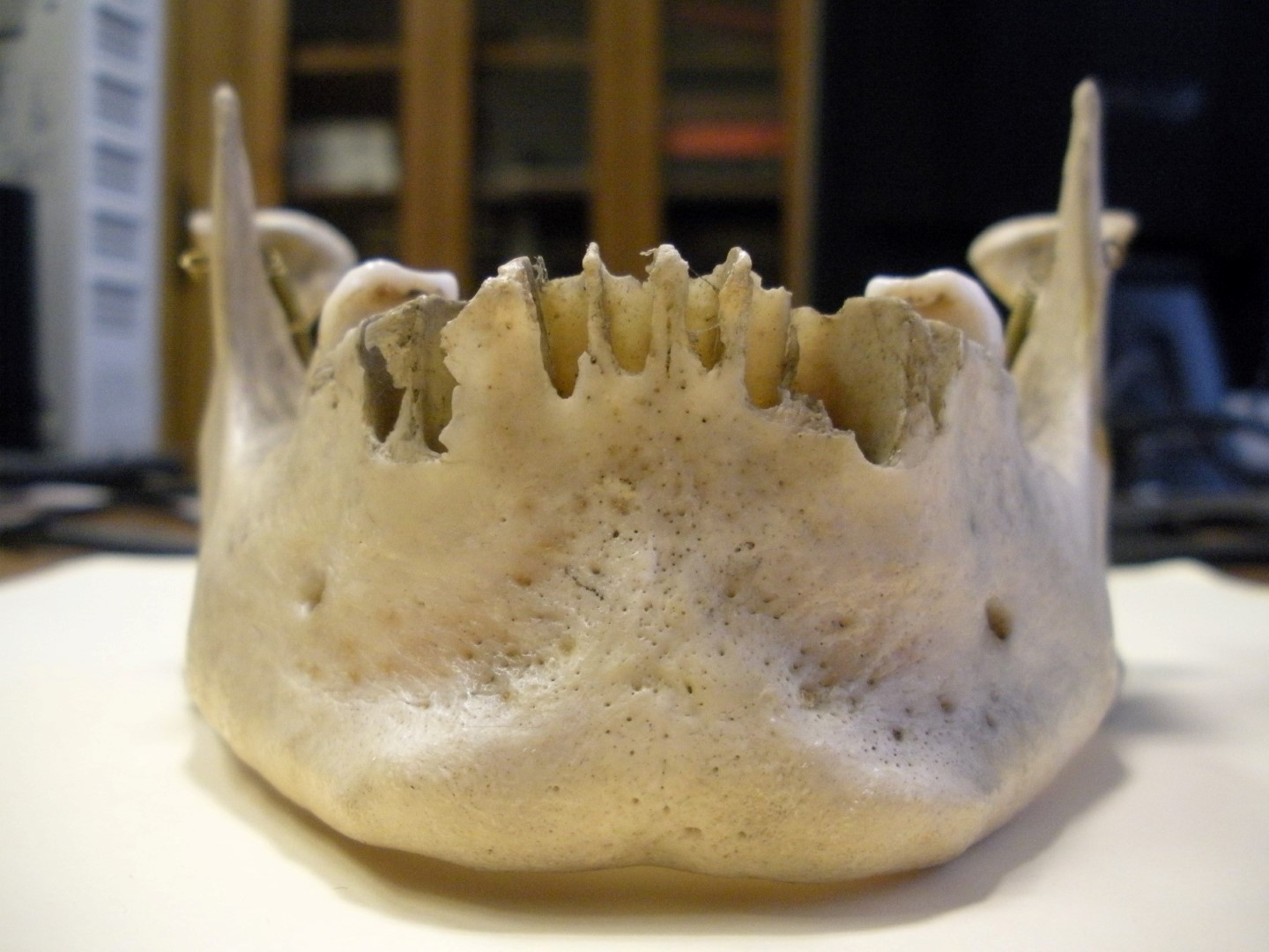 Mentum Aweseum: May 2013