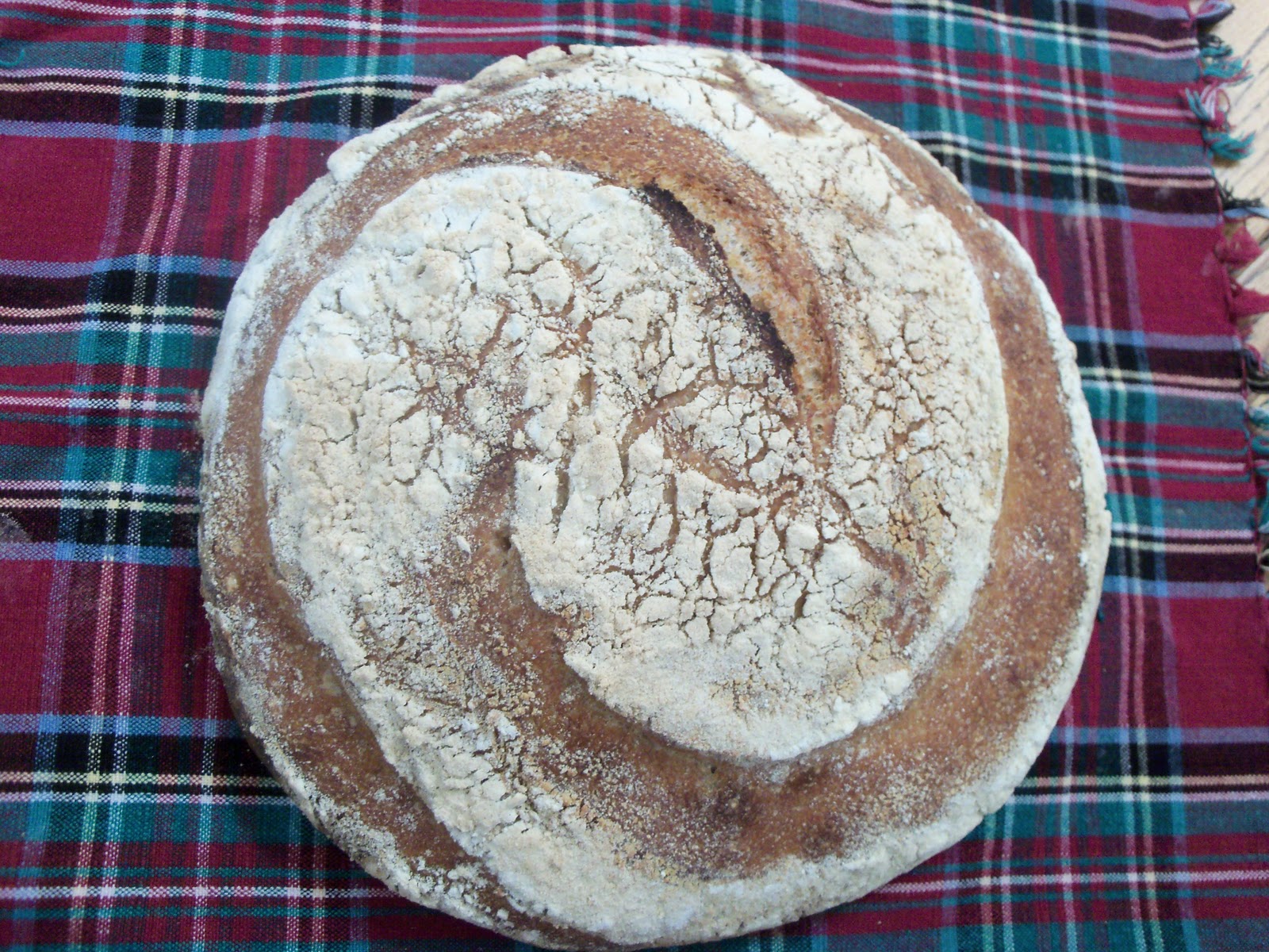 Fragments of Sulpicia (III): City Bread, A Second Attempt