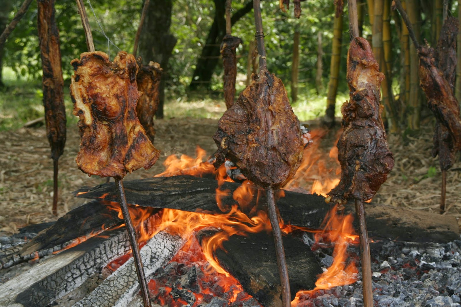 COMIDAS TIPICAS DEL LLANO: GASTRONOMIA LLANERA INTRODUCCION