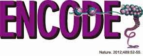News in Proteomics Research: Using the ENCODE database to hunt down ...