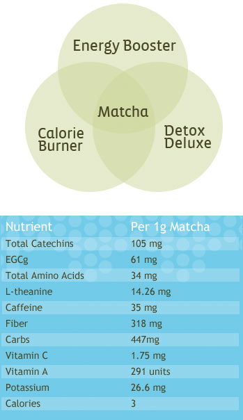 Healthy Moms 9 Months and Beyond!