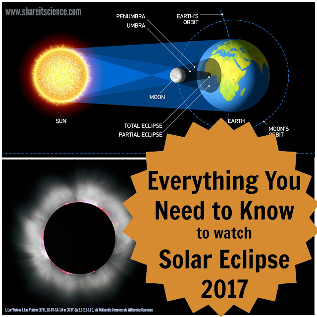Share it! Science : Everything You Need to Know about the Great ...