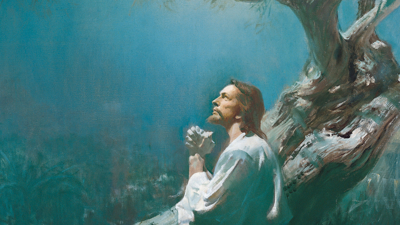 Corazón: noviembre 2012