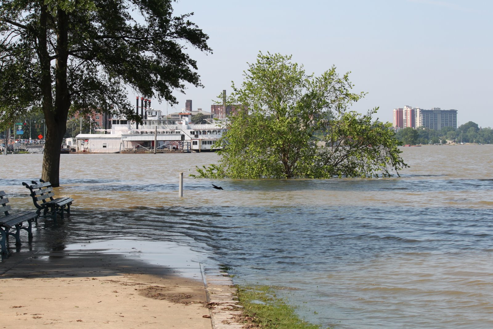 Keeping Up With The Joneses...: Memphis Flood {2011}