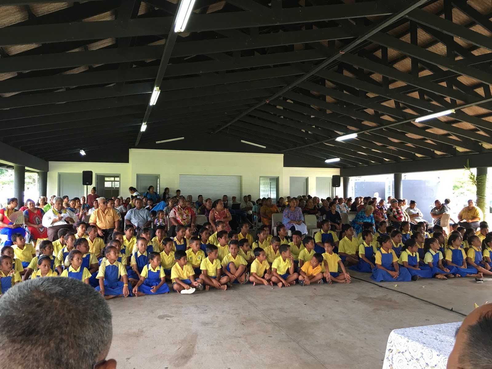 New ZimZim: Pesega Samoan Summer & Training