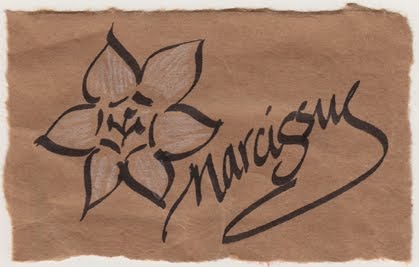 susangaylord.com: Twelfth Day of Christmas-Narcissus