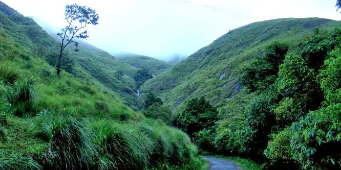 November 2013,Gavi Kerala-Complete Information about Gavi,Kerala,Gavi ...