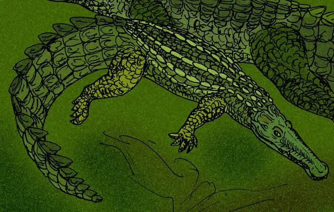 Los animales en la prehistoria: Animales prehistóricos con la letra H