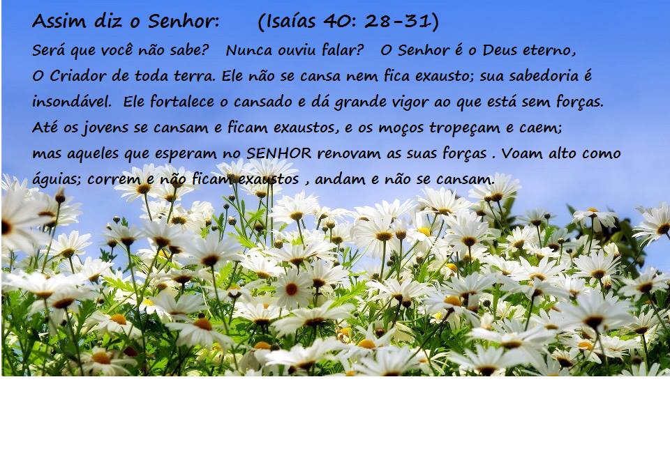 "JESUS TE AMA": Isaías 40 28-31