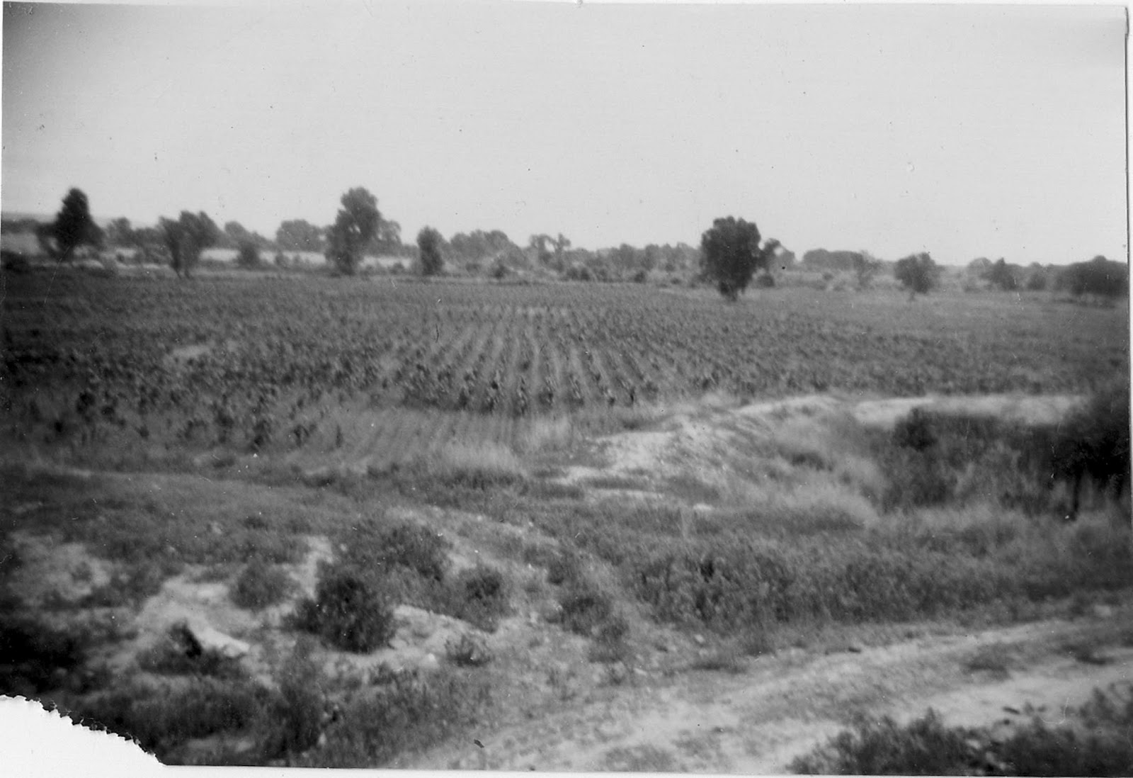 Ancestral Ties: LDS ‘Island of Goodness.’ Manassa, Colorado.