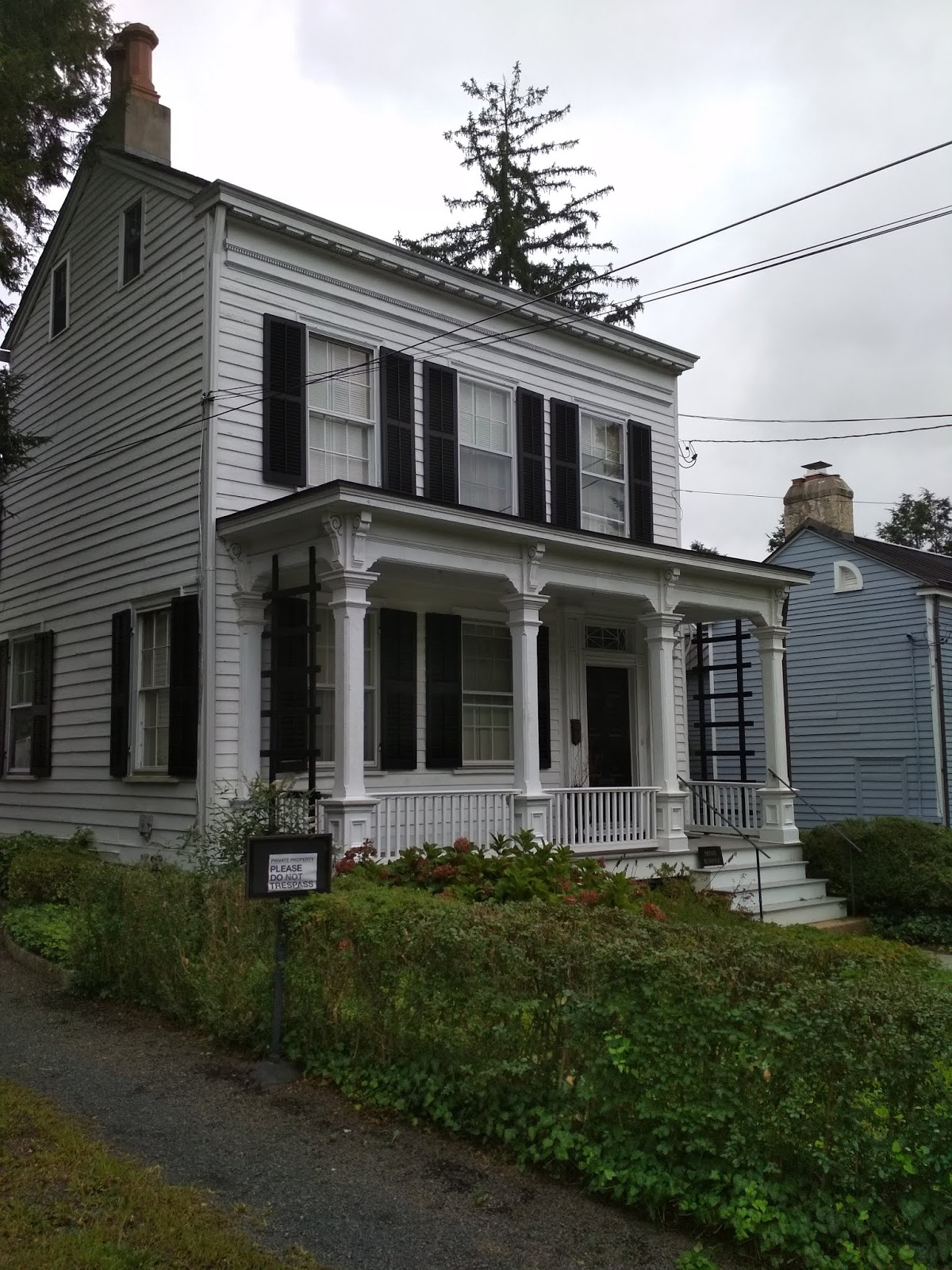 CHINAR SHADE : ALBERT EINSTIEN'S HOUSE IN PRINCETON