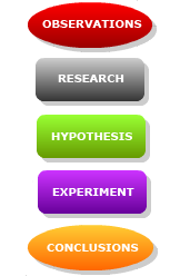 Steps of the Scientific Method for kids