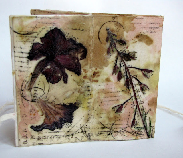 Letting in the Light: Finding Violet