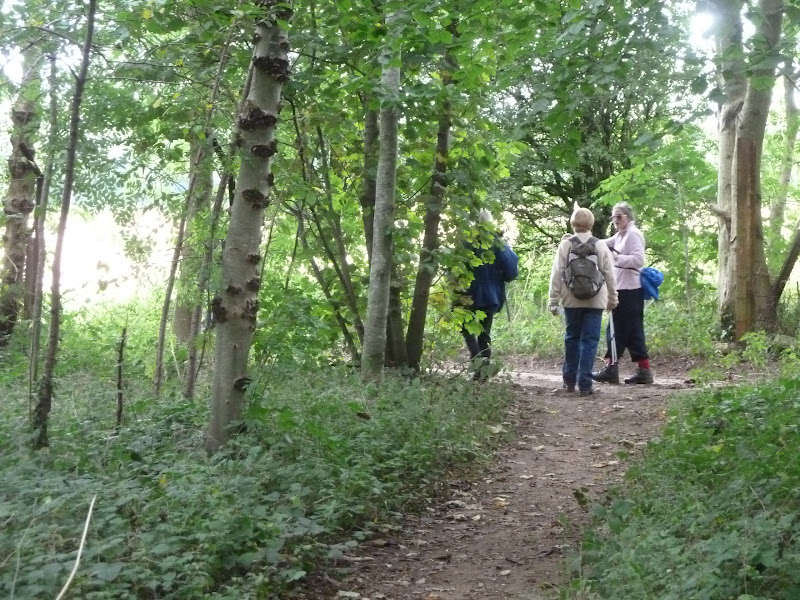 Devizes Days in Words and Pictures 2015: Another Long Walk, Another Pub!