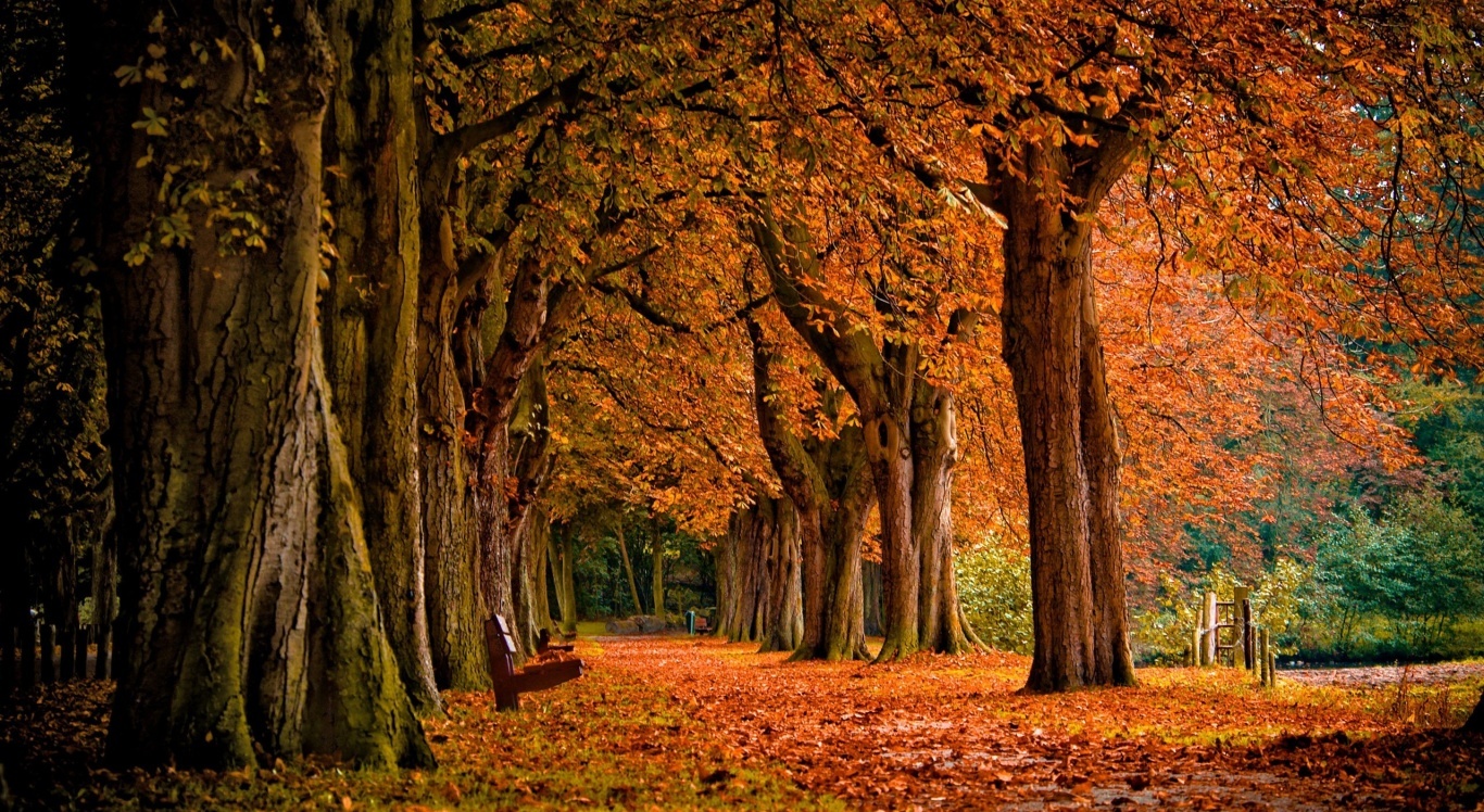 Fotos de paisajes de otoño - Imagui