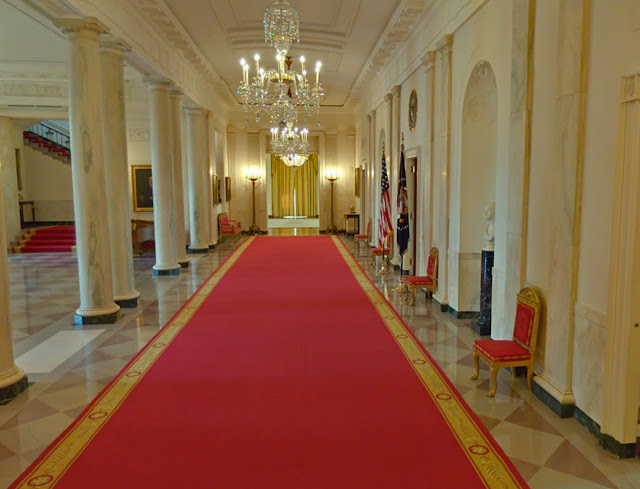 Star Bunny Studio: The White House