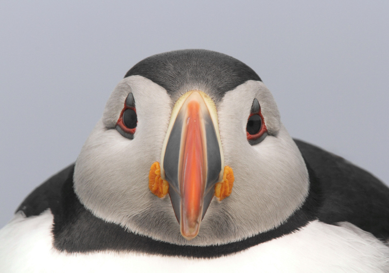 Robbie's Northern Exposures: April 2011