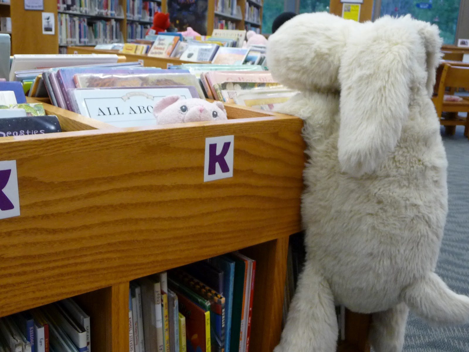 East Central Regional Library System: Stuffed Animal Sleepover at the ...
