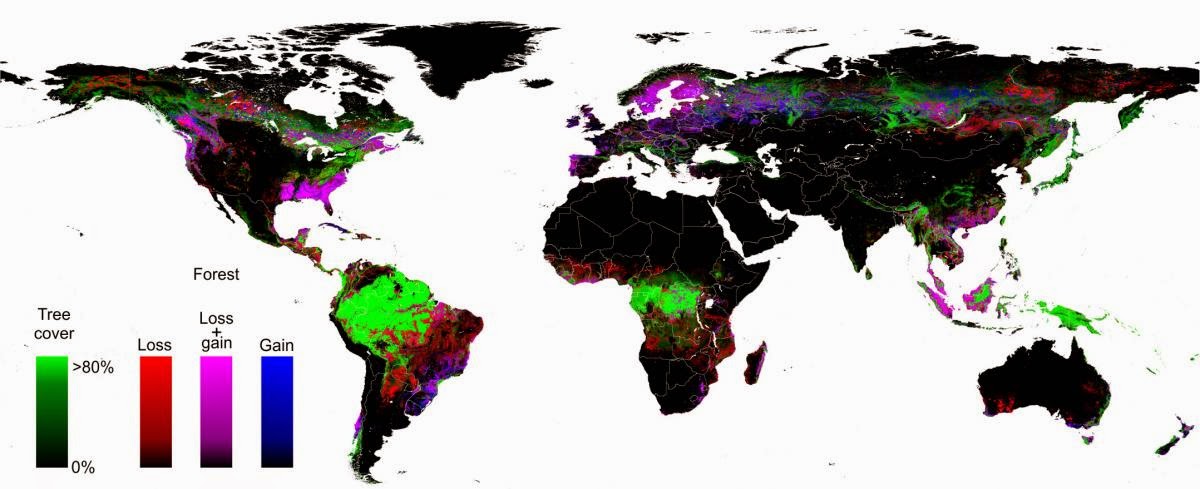 WeirdWood: First detailed map of global forest change
