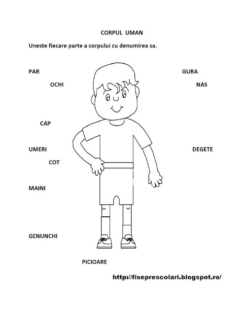 Corpul Uman/ Obiecte de ingrijire personala - Fise de lucru pentru ...